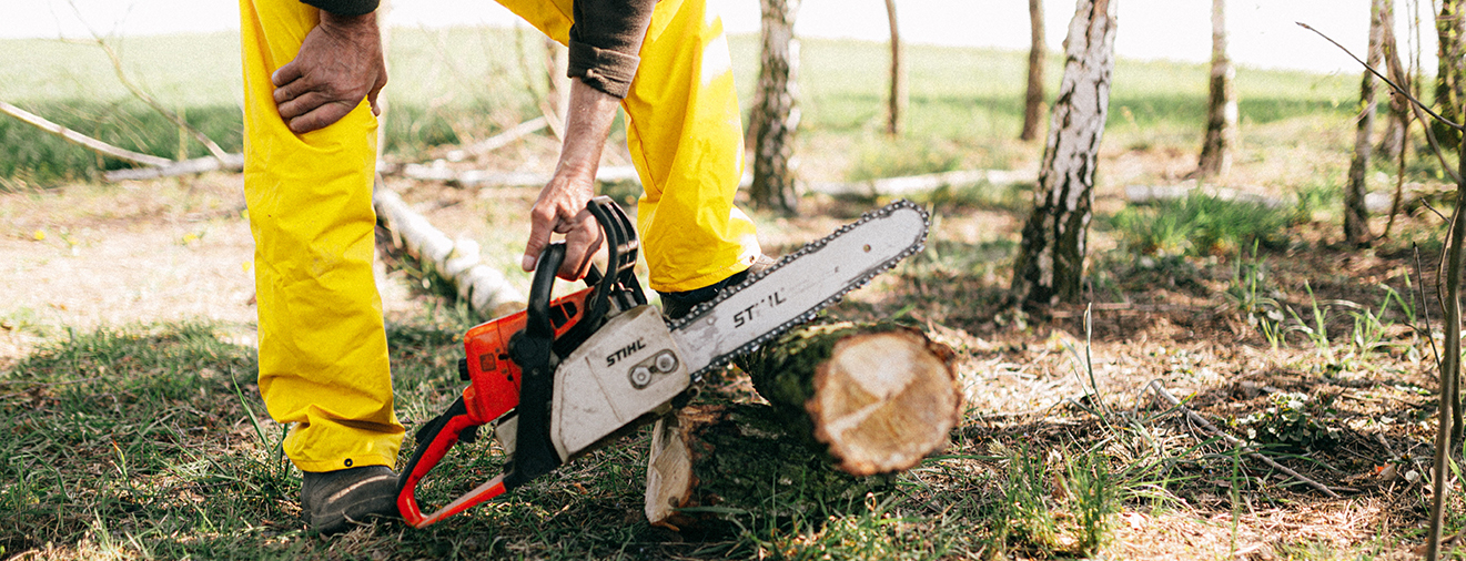 The Labor Force: A Serious Issue Within the Tree Services Industry ...