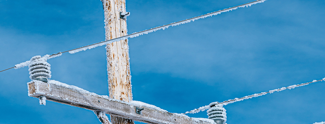 How to Prepare for a Winter Power Outage - Townsend Tree Service