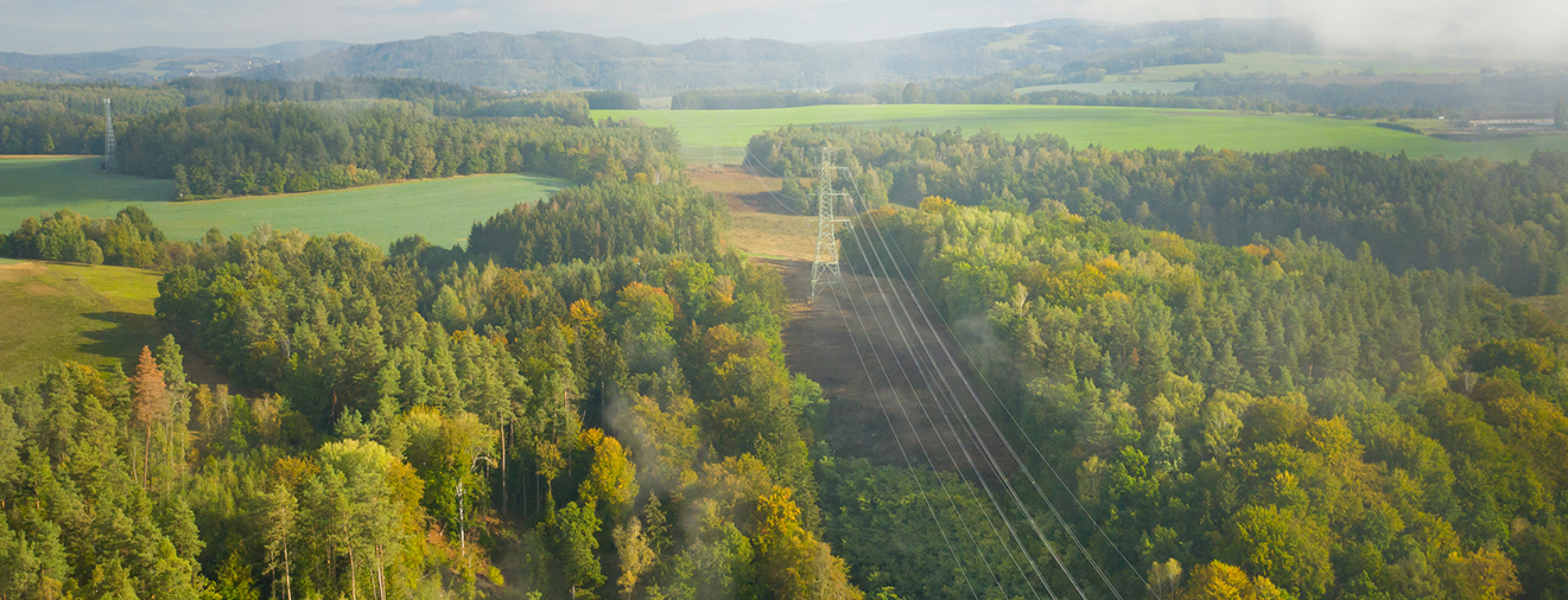 Vegetation Management - Townsend Tree Service